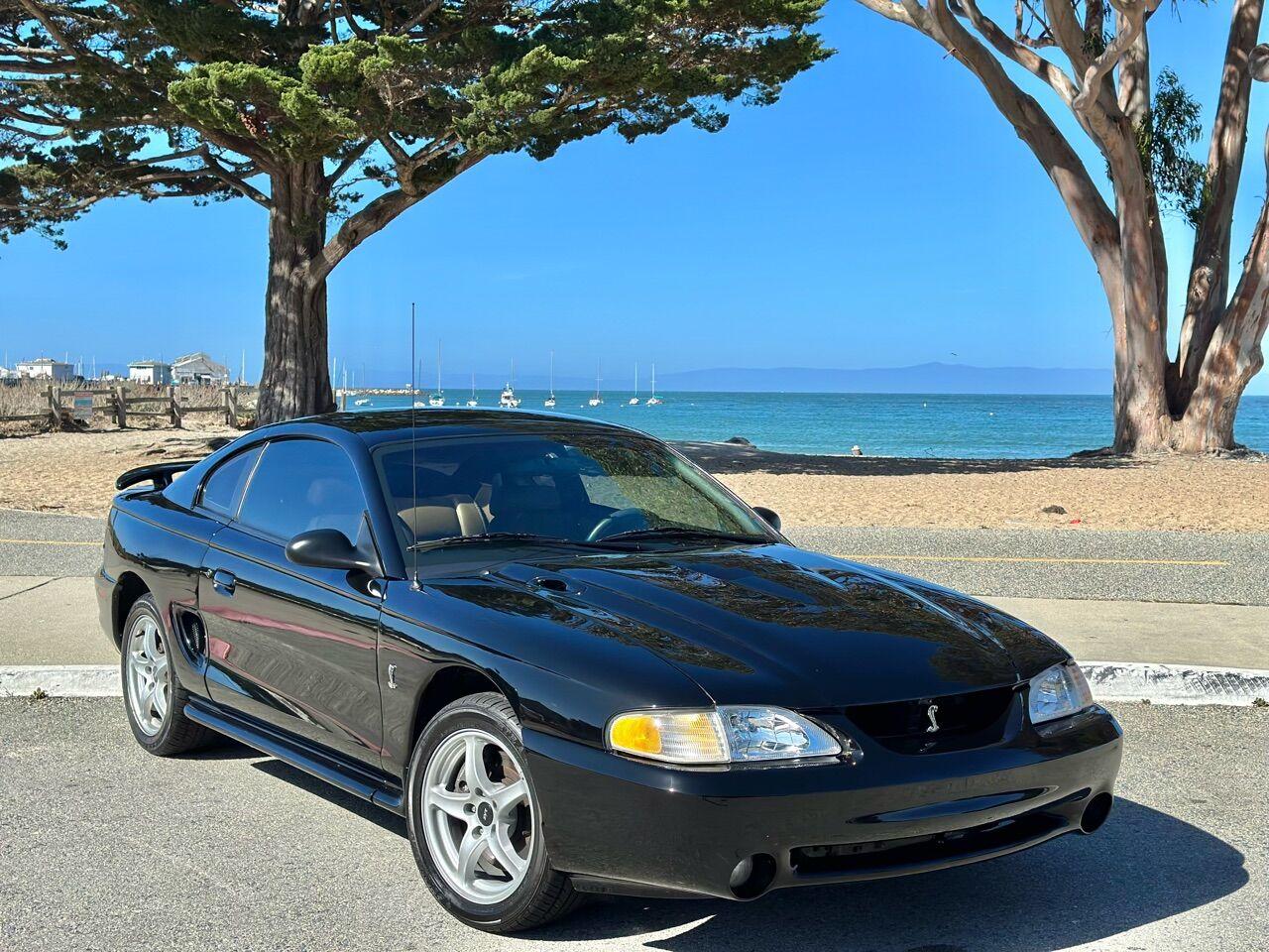 1998 Cobra Mustang